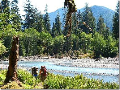 Autodesk Developer Blog : Slide Shows and Bags